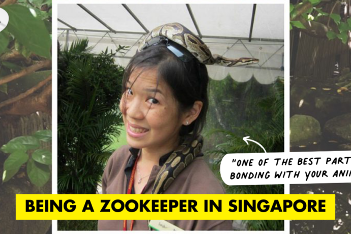 Singapore Zoo's First Female Elephant Keeper