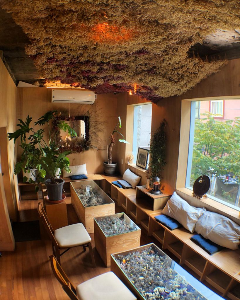 10 Aesthetic Cafes in Seoul With Minimalist Layouts & Pastel Themes ...