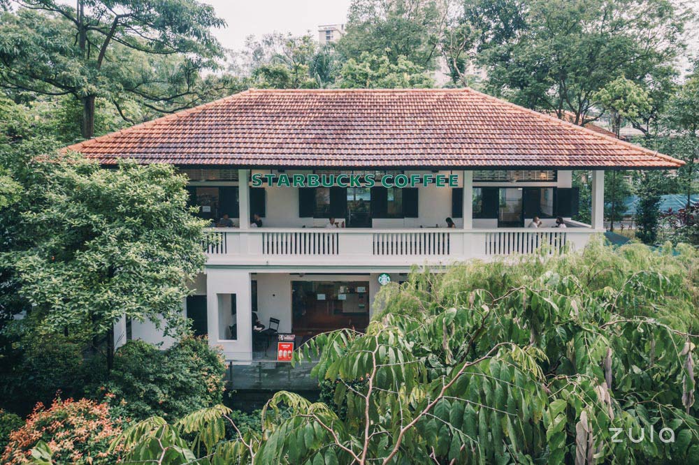 3 SG Millennials On Why They’re Still In Love With Starbucks Even After ...