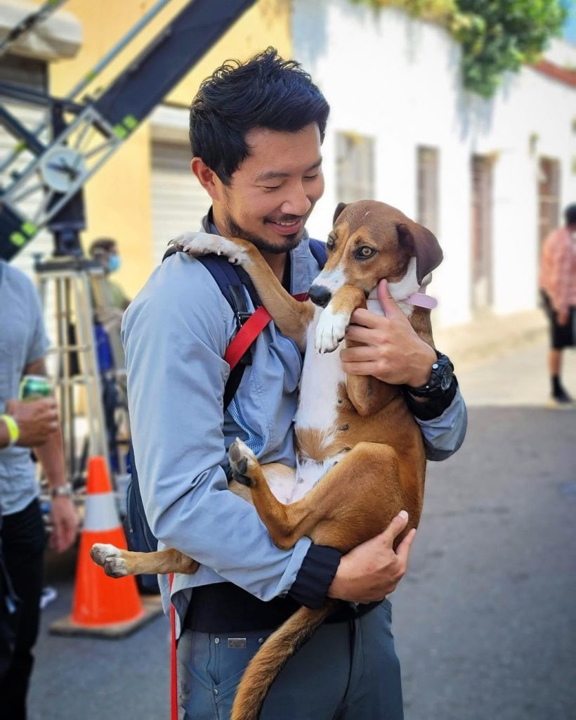 Simu Liu Facts Including Almost Being On Crazy Rich Asians
