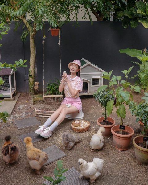 Jamie Chua Facts For Those Who Wish To Learn More About The Socialite