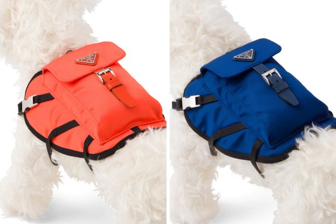 Prada Outdoor Collection Features Novelty Items For A Glamping Trip