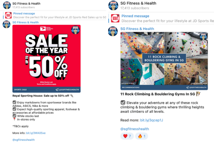 14 Telegram Channels for Women — Freebies & Travel Deals