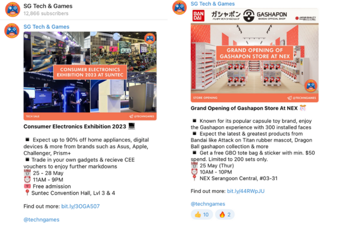 14 Telegram Channels for Women — Freebies & Travel Deals