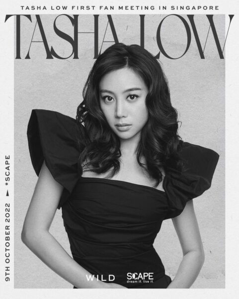 Tasha Low Facts, Like Being A Former Singaporean K-Pop Idol