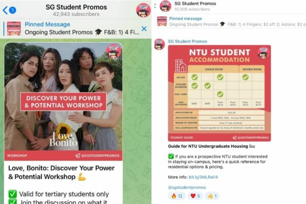 14 Telegram Channels for Women — Freebies & Travel Deals