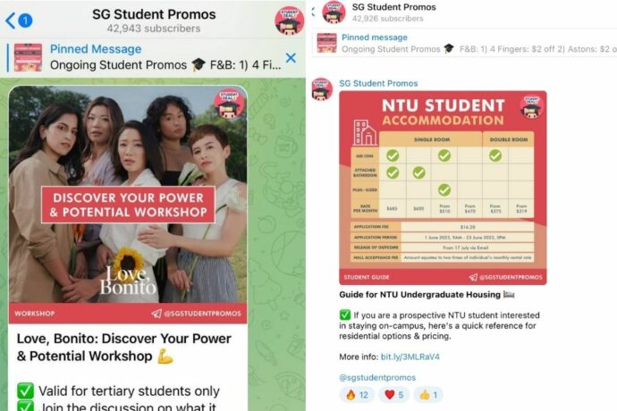 14 Telegram Channels for Women — Freebies & Travel Deals